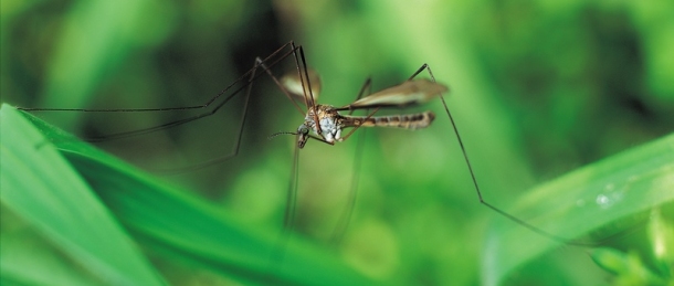 Sani Products Pest Control